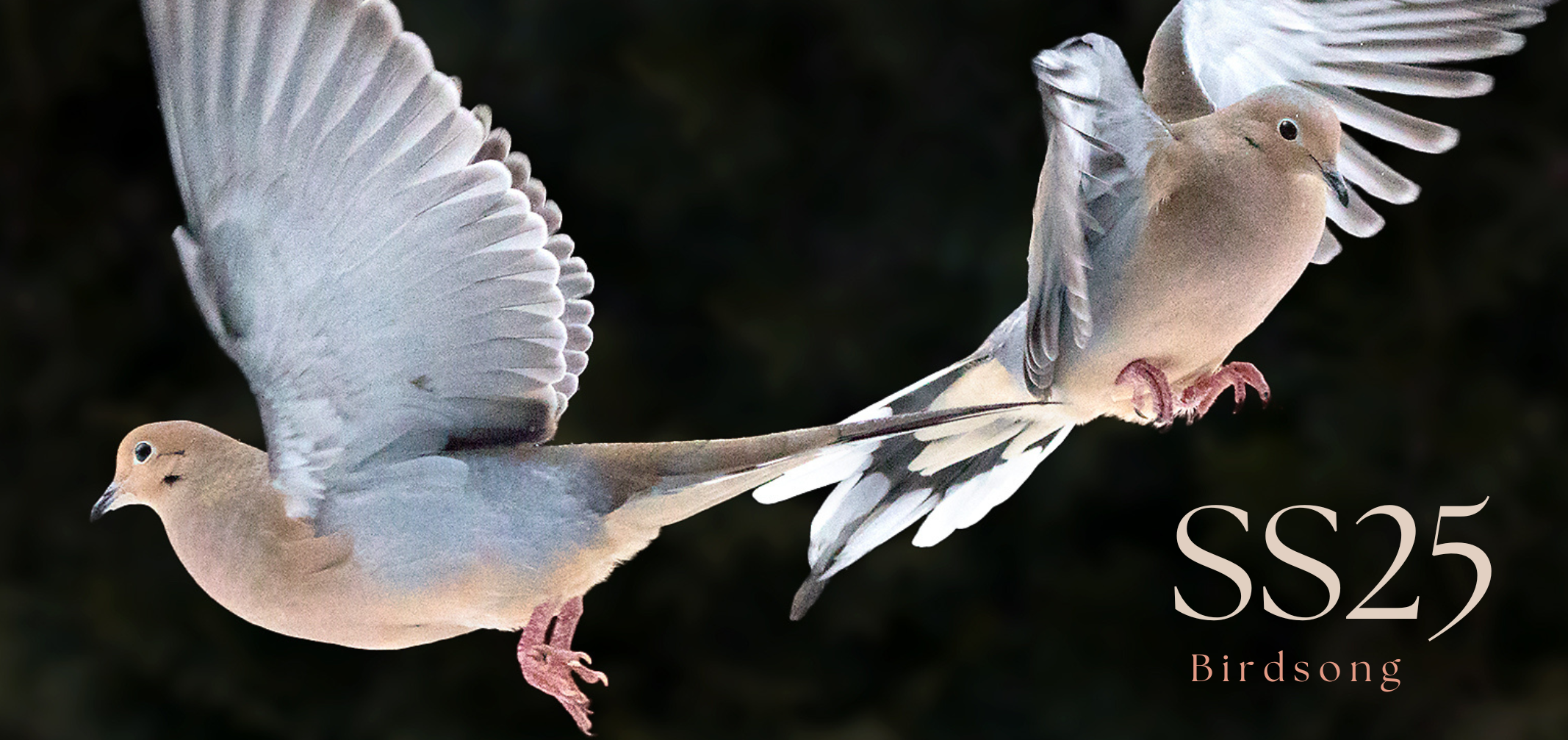 All Accessories – Duffield Design